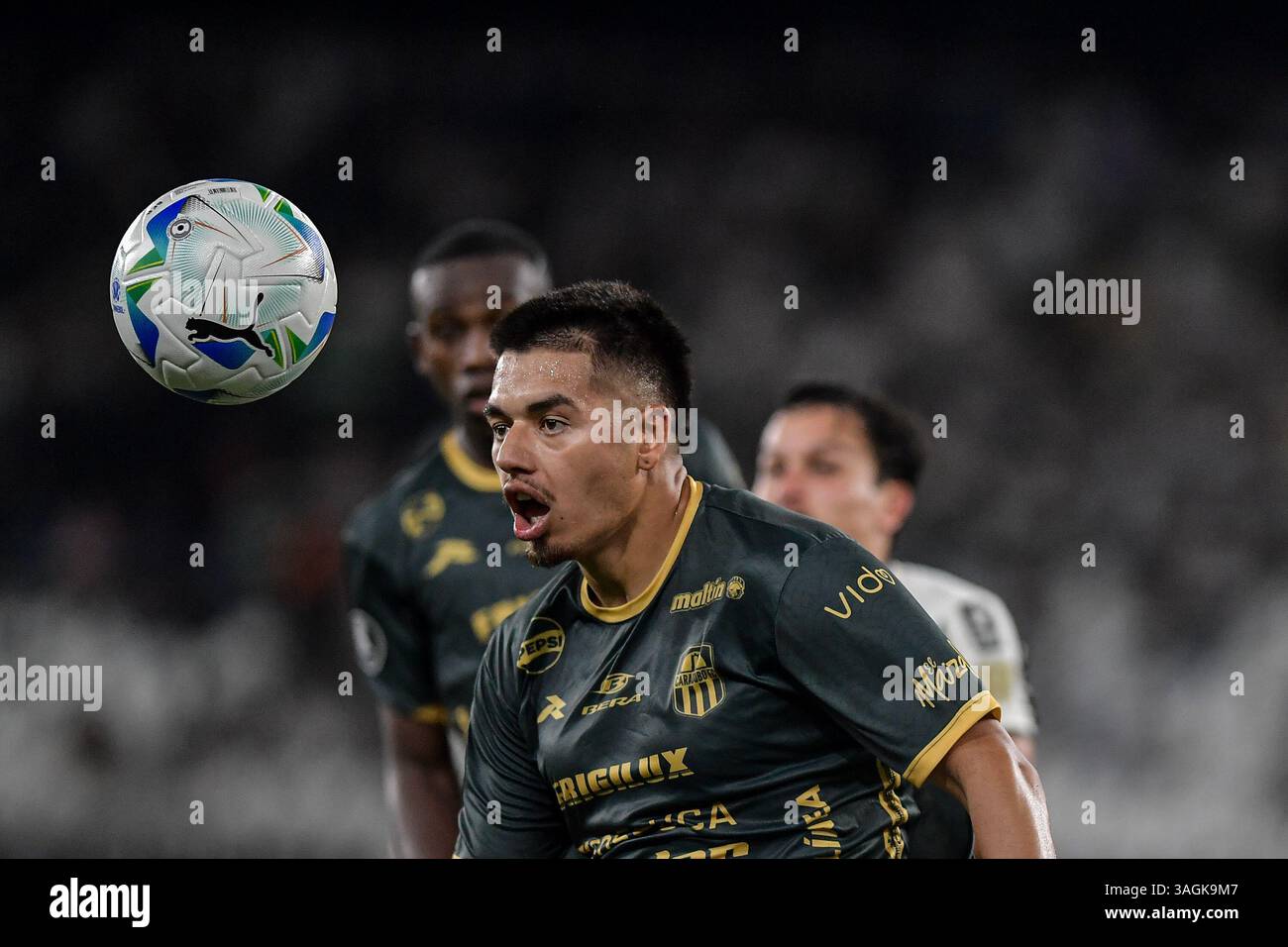 RJ - RIO DE JANEIRO - 04/08/2025 - LIBERTADORES CUP 2025, BOTAFOGO x ...