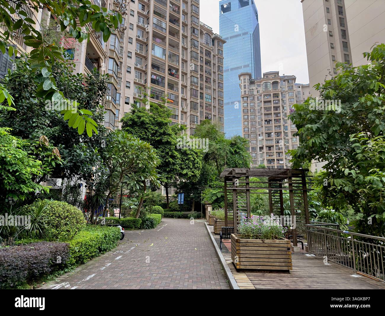 Peaceful pathway winds through smartphone stock photos and images - Alamy