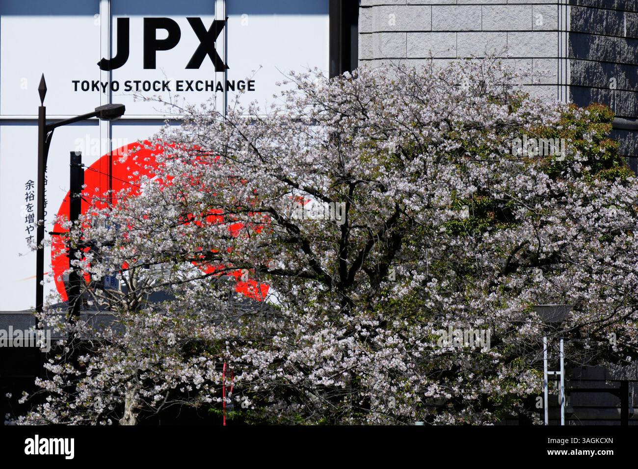 Cherry blossoms bloom across a street from the Tokyo Stock Exchange building in Tokyo, Wednesday ...