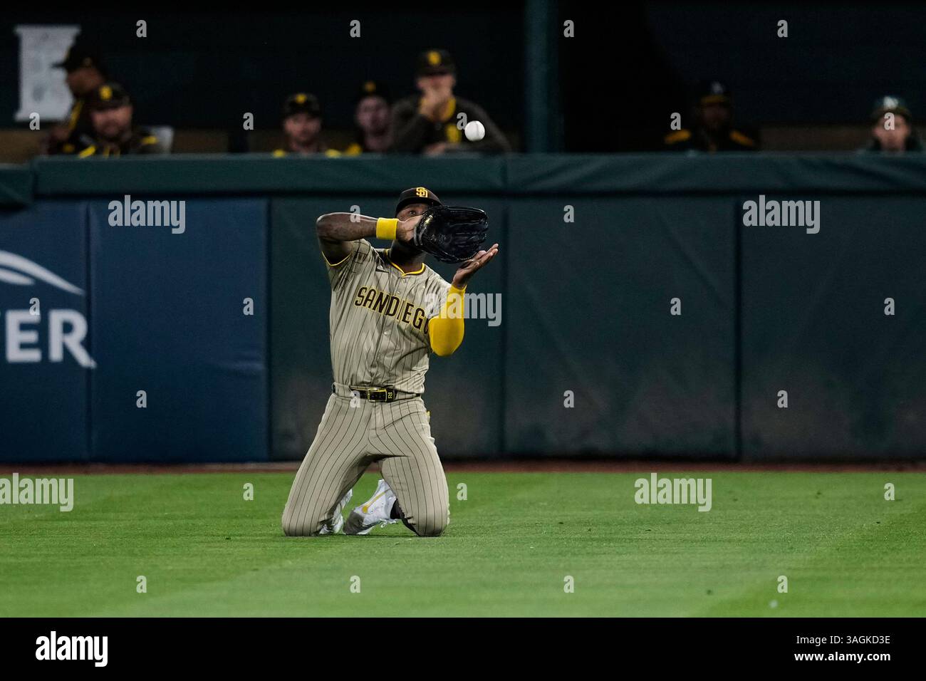 San Diego Padres right fielder Jason Heyward catches a fly ball hit by ...