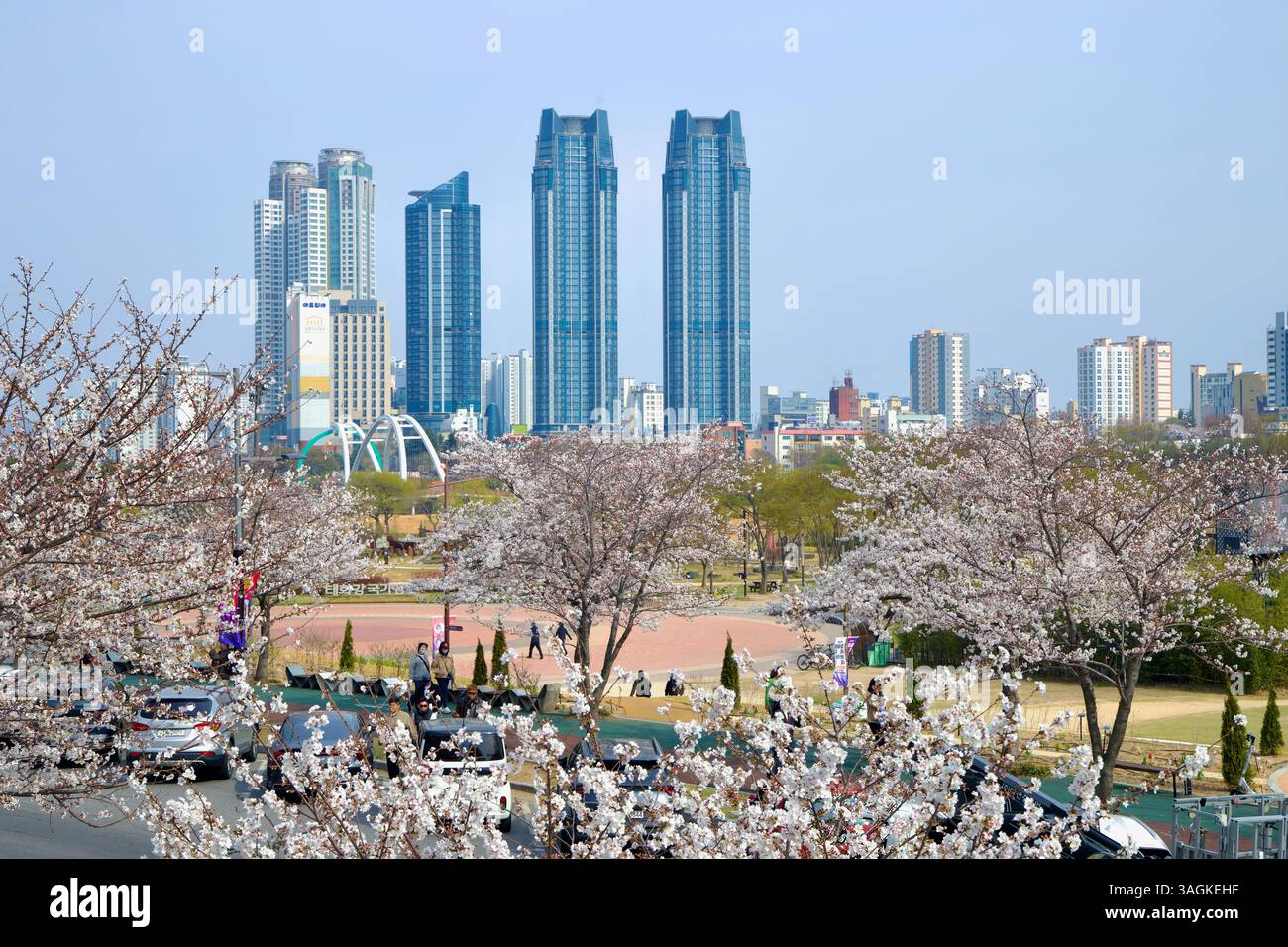 Ulsan City, South Korea - March 31st, 2025: A beautiful view of cherry ...