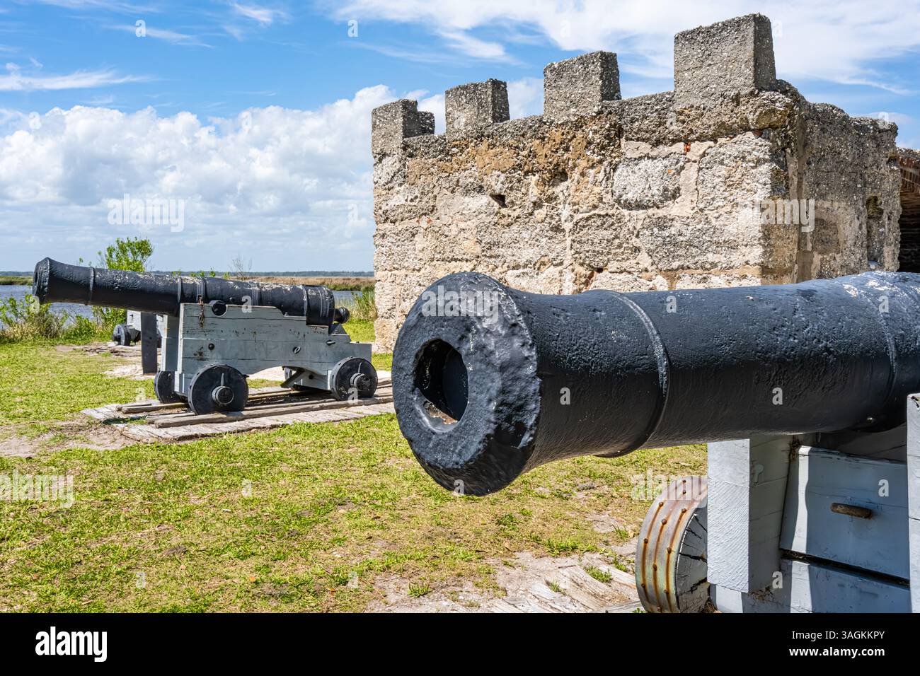 Cannons surrounding Fort Frederica, built by General James Oglethorpe ...