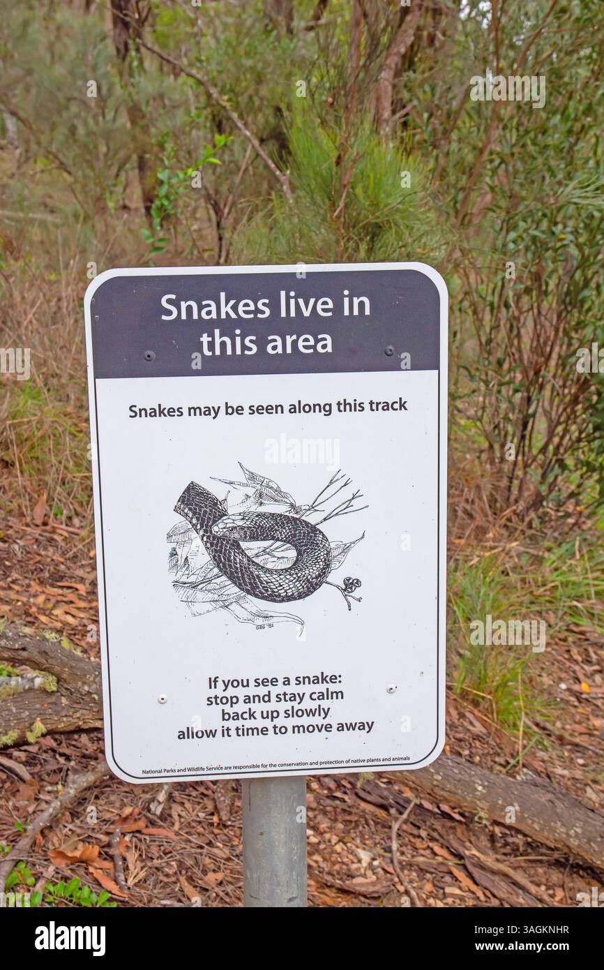 Snakes live in this area. Warning sign on walking track at Apsley Falls ...