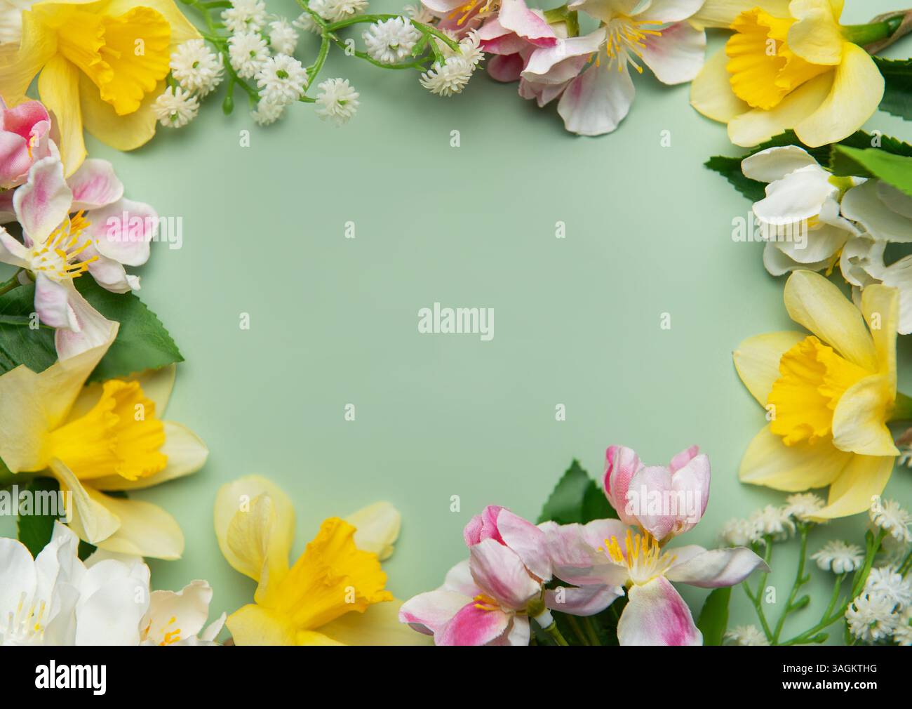 Spring flowers creating a colorful frame on a pastel green background ...