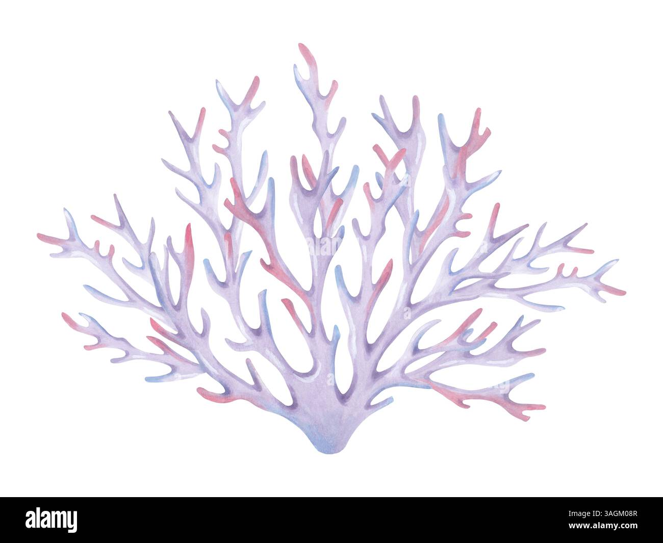 Branched coral. Watercolor and marker illustrations. Ocean coral reefs ...