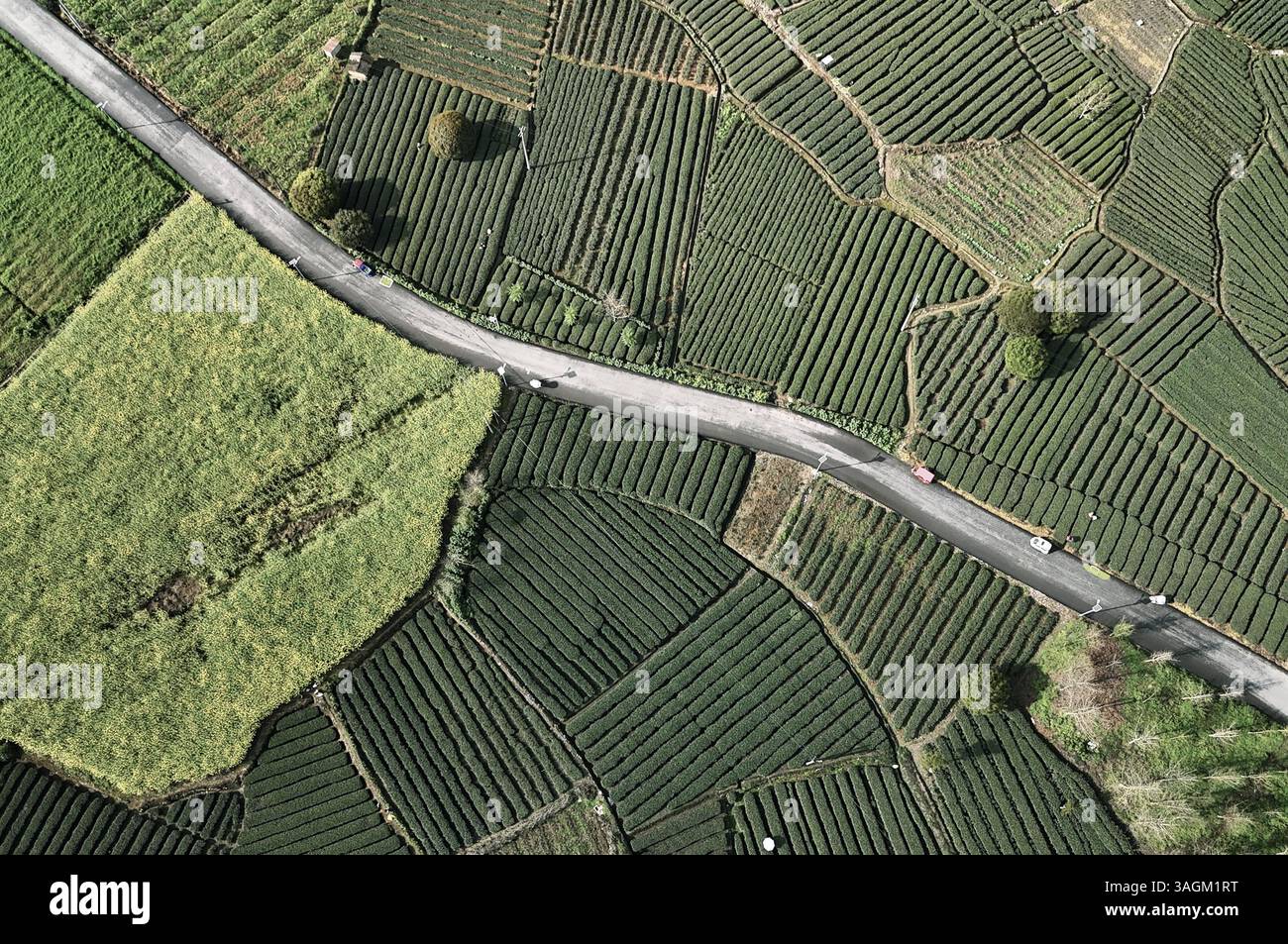 **CHINESE MAINLAND, HONG KONG, MACAU AND TAIWAN OUT** Aerial photo ...