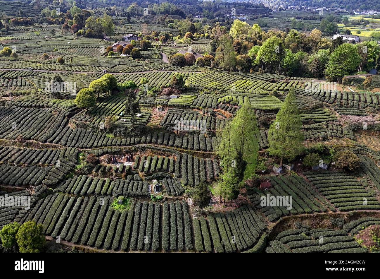 **CHINESE MAINLAND, HONG KONG, MACAU AND TAIWAN OUT** Aerial photo ...