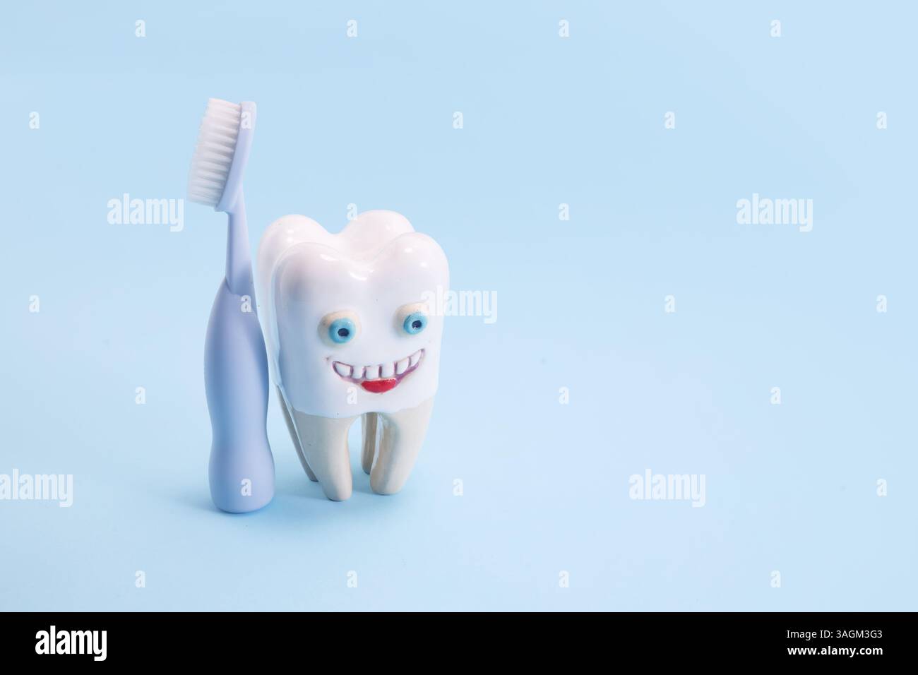 Cheerful Tooth Brushing. A smiling tooth model being brushed Stock ...