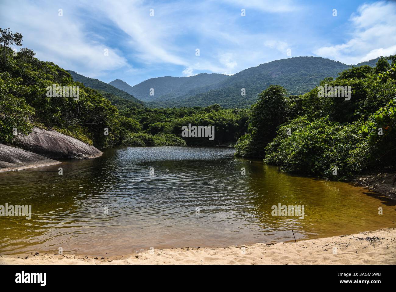 Freshwater Lagoon Surrounded by Forest in Brazil Stock Photo - Alamy