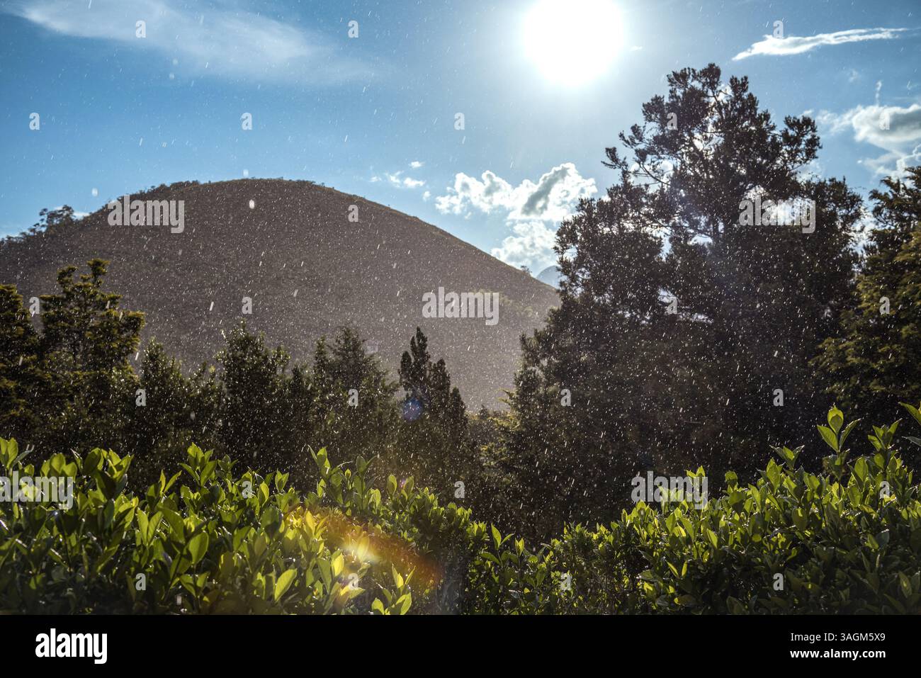 Sunlight and Rainfall over Mountain Landscape in Itaipava, Brazil Stock ...