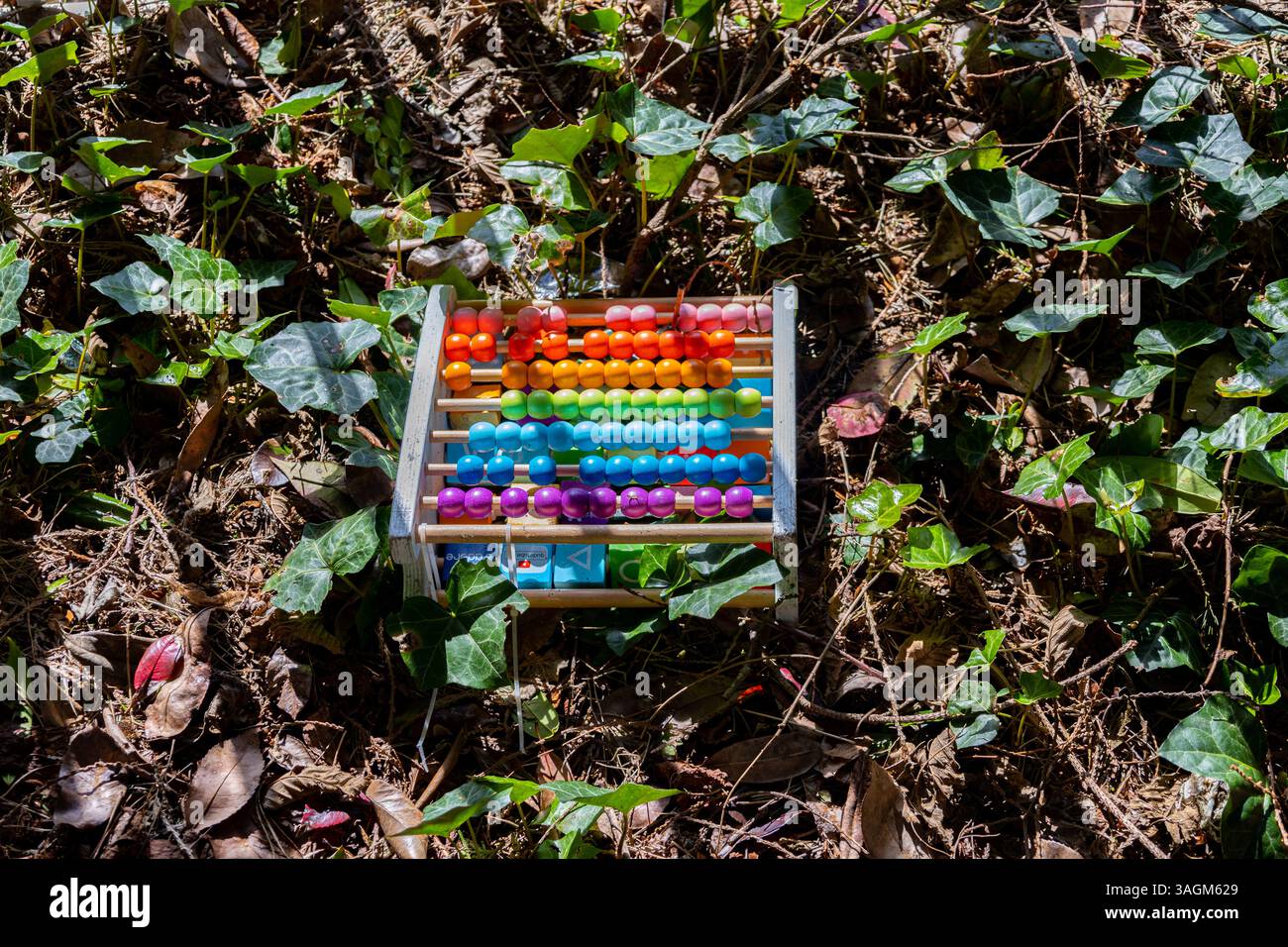 Colorful wooden alphabet learning toy lying on the forest floor among ...
