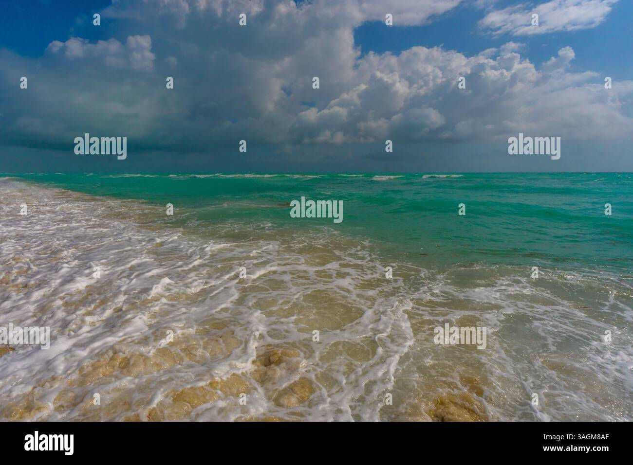 Exotic sea beach waves. Stormy sea waves. Summer sea beach wave. Rolling foamy sea beach waves ...
