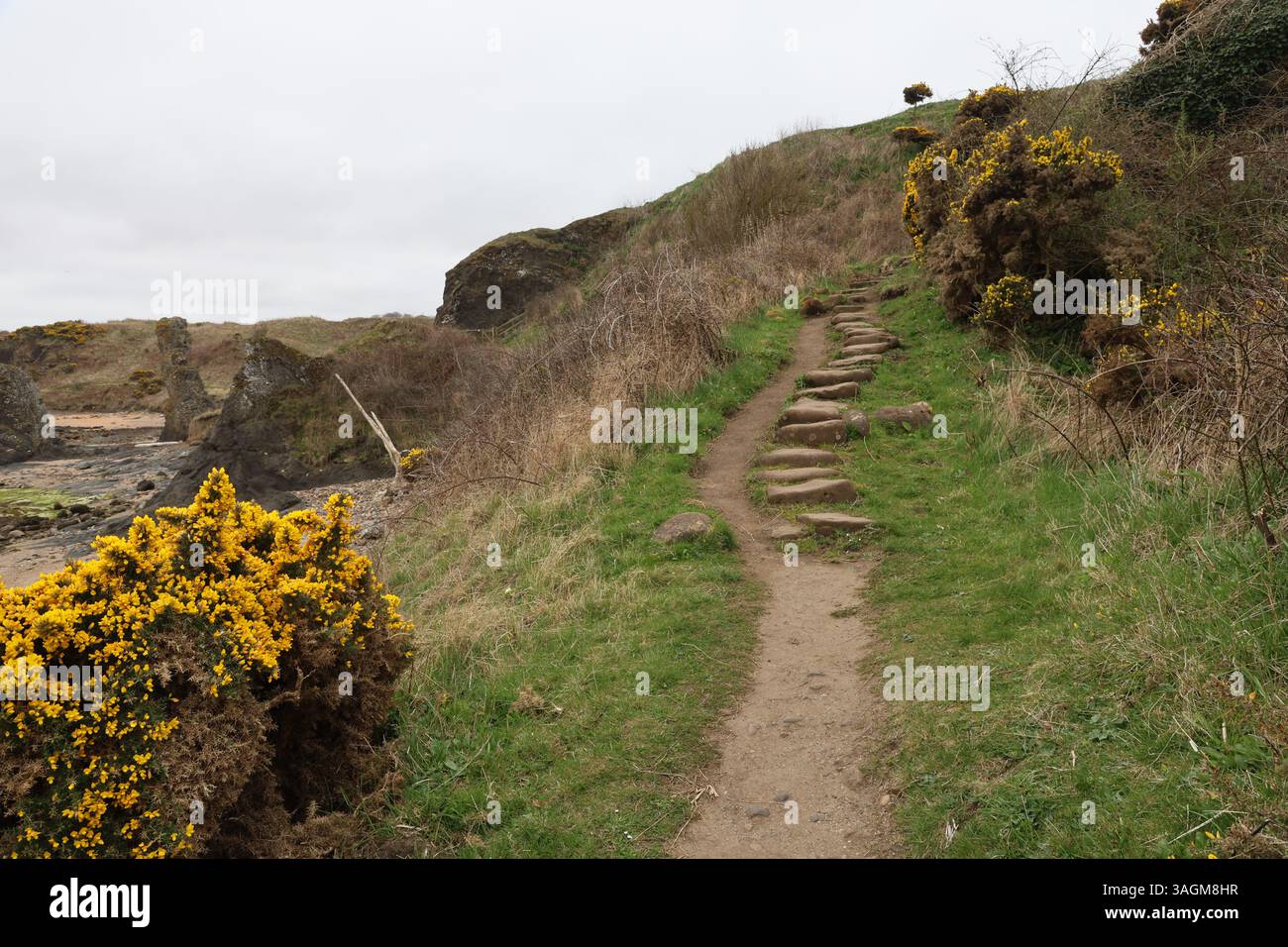 Fife Coastal Path near St Andrews Scotland April 2025 Stock Photo - Alamy