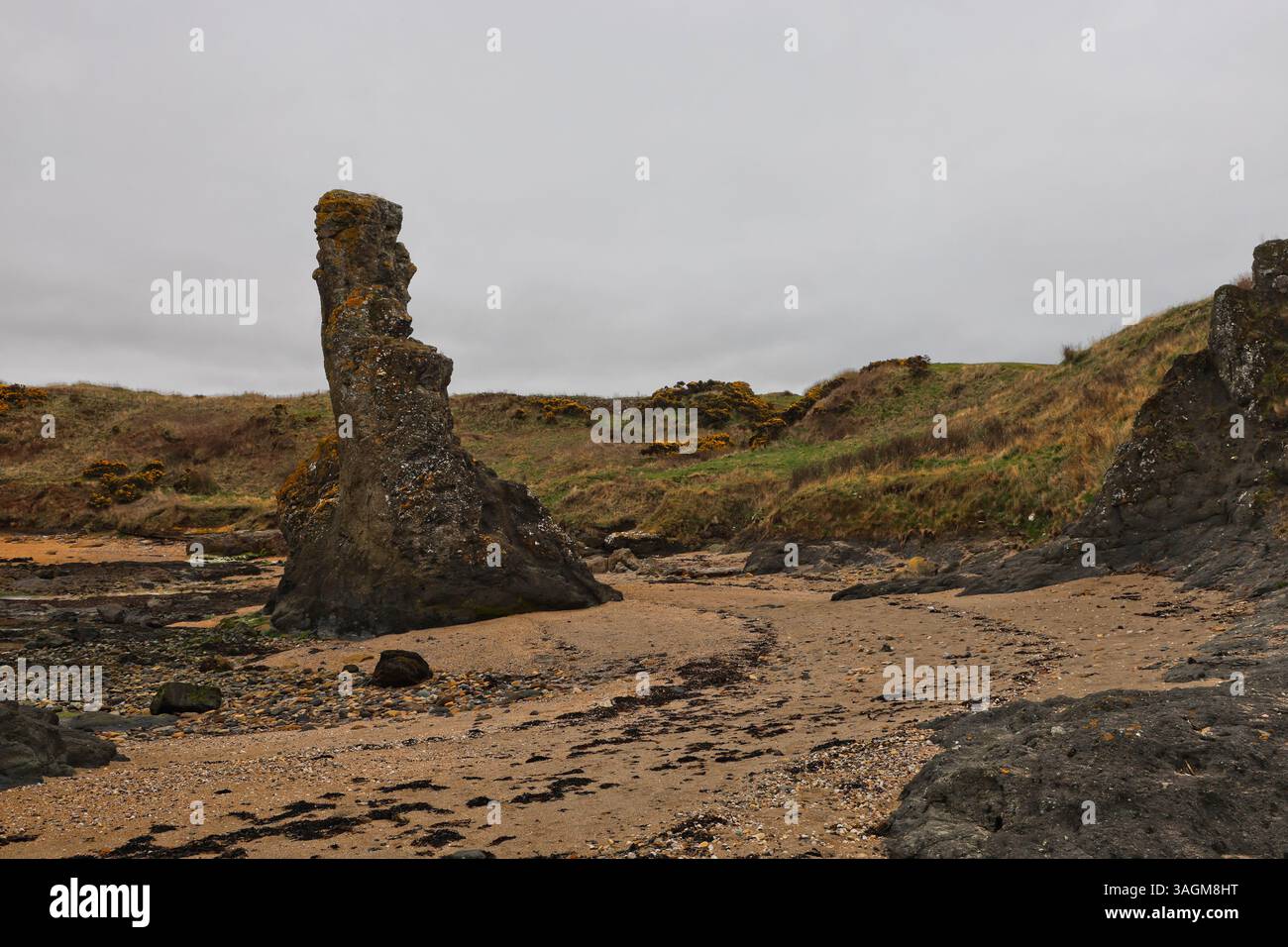 Rock and spindle on Fife Coastal Path Scotland April 2025 Stock Photo ...