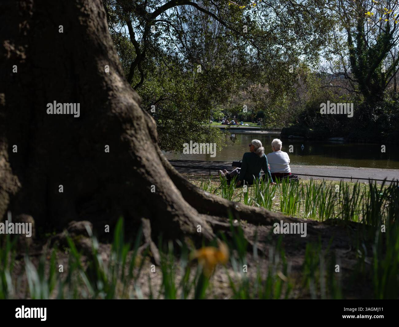 Groups of people enjoying the sun in St Stephens Green in Dublin city ...