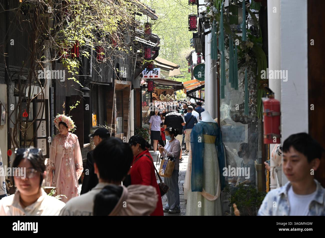 Spring flowers bloom in Hangzhou City, east China's Zhejiang Province ...