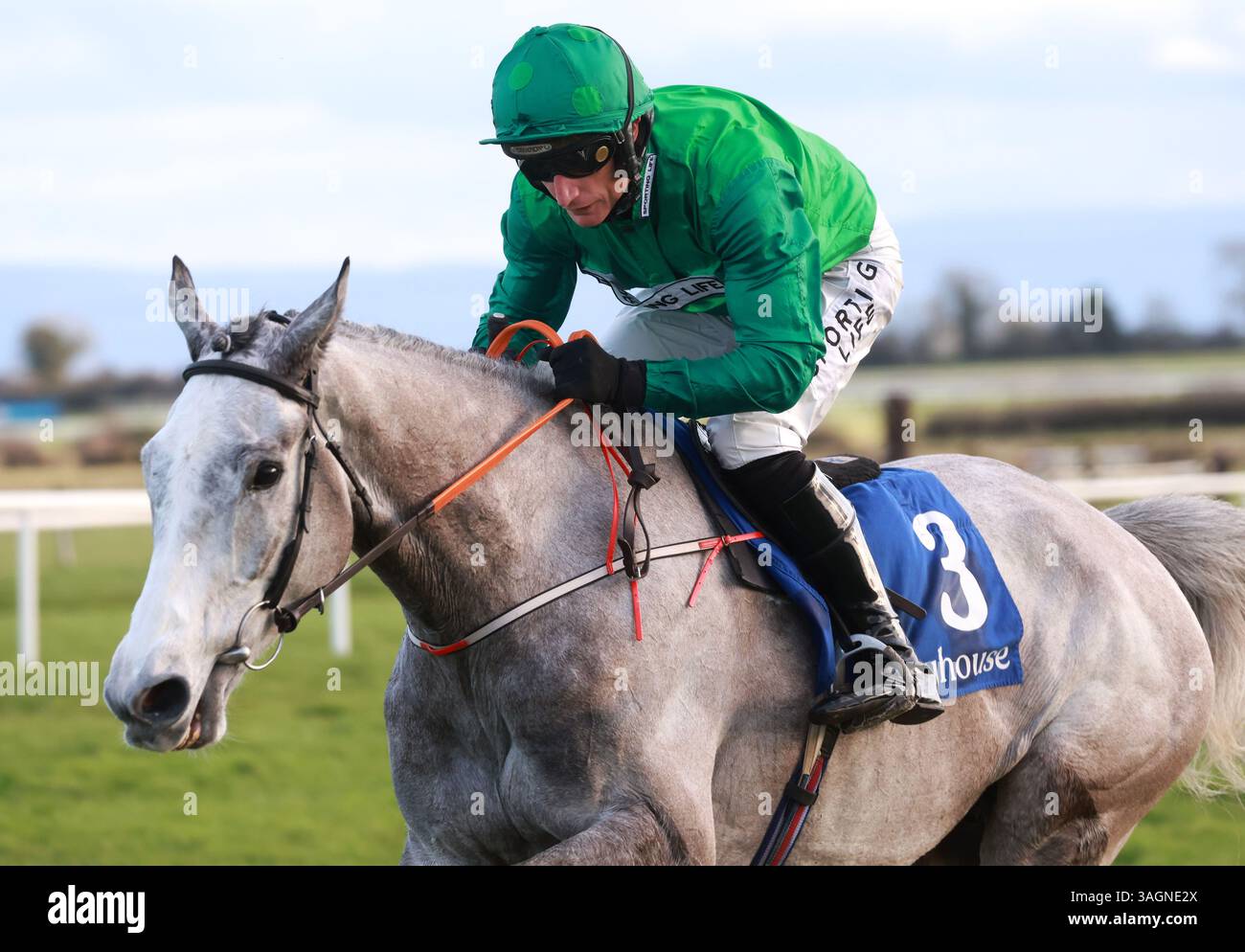 File photo dated 24/02/24 of Intense Raffles. Trainer Tom Gibney is in ...