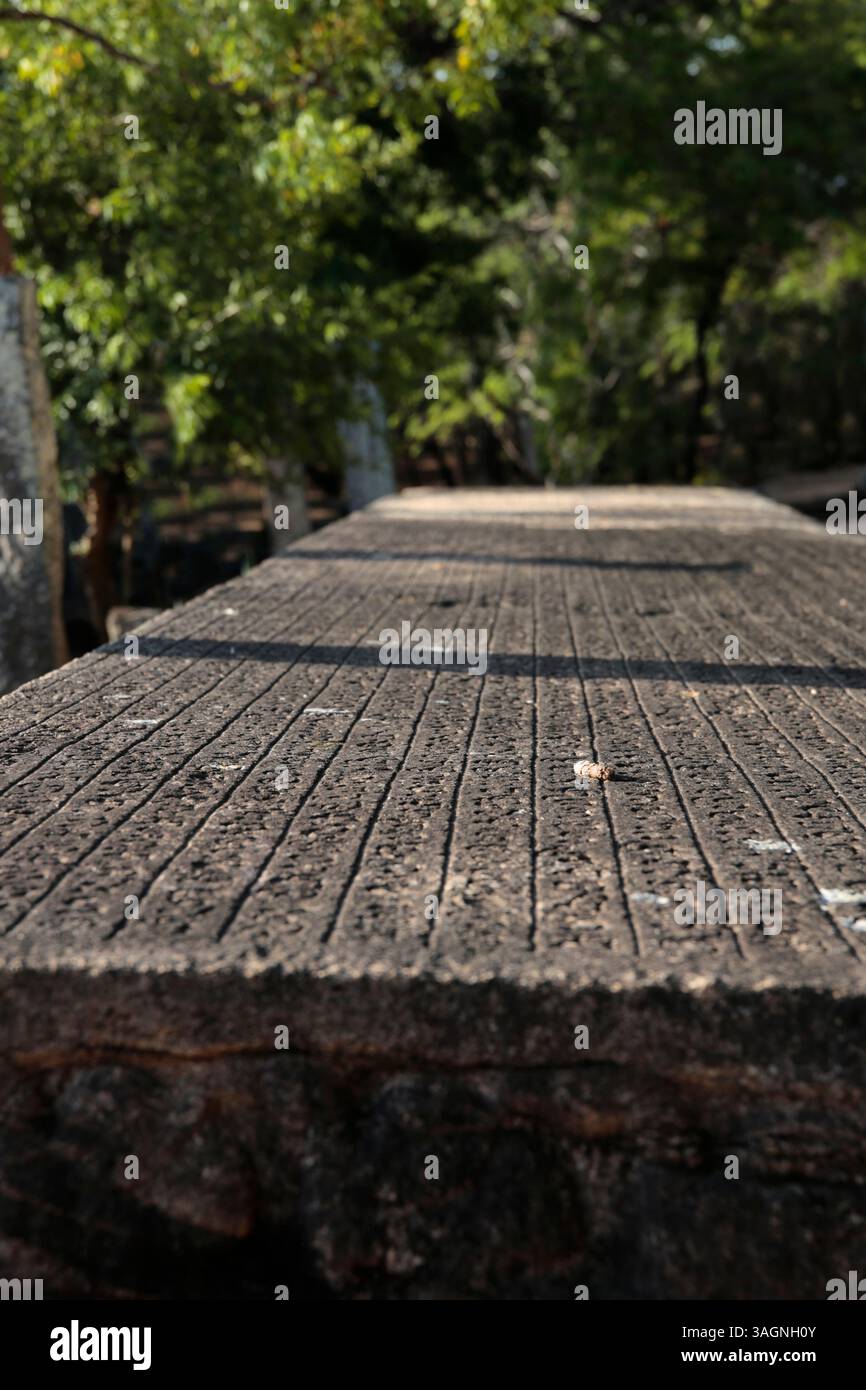 Sri Lanka. Polonnaruwa. Inscription of the Gal Potha (Stone Book ...