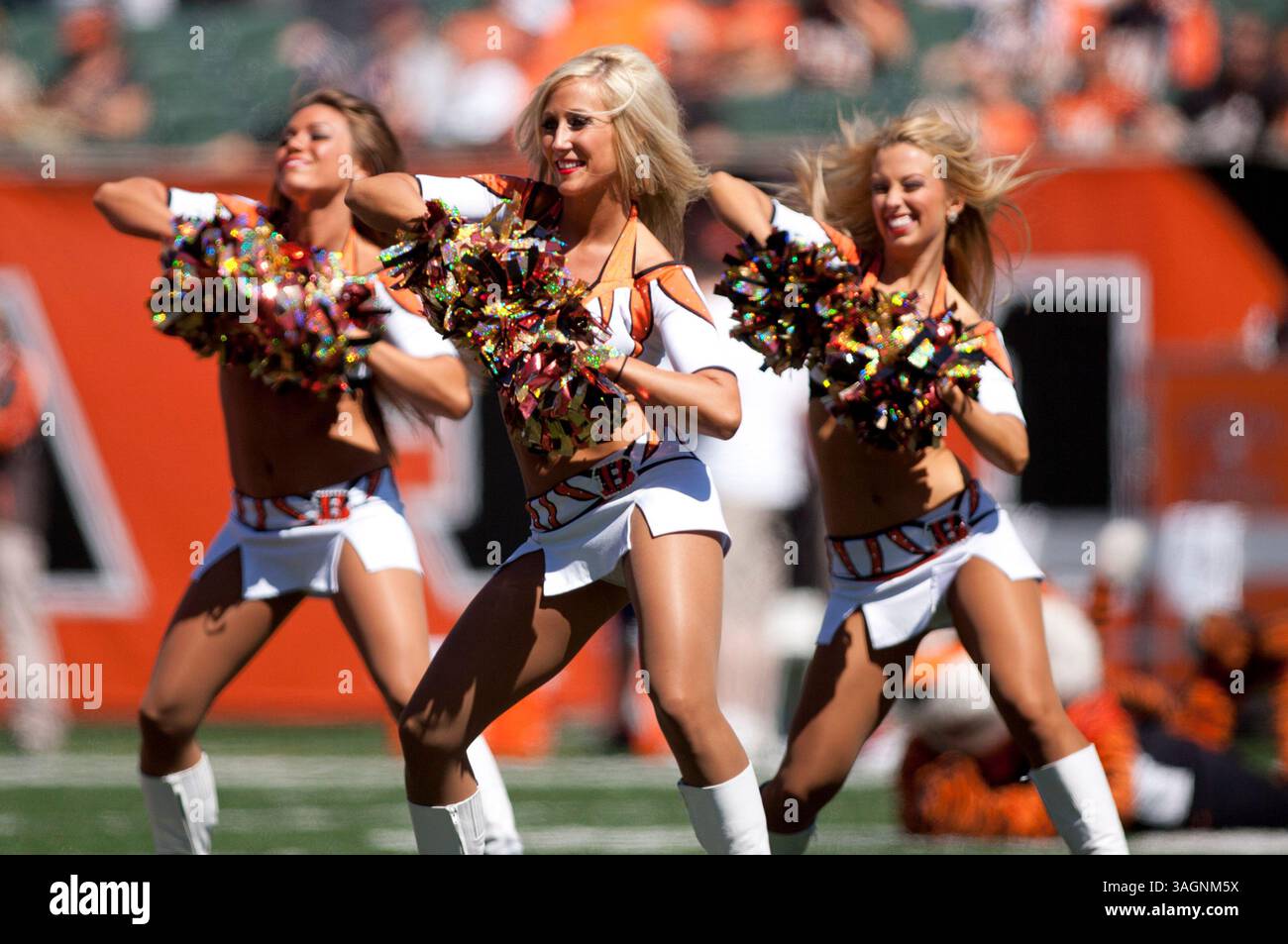 Cincinnati bengals cheerleaders hi-res stock photography and images - Alamy