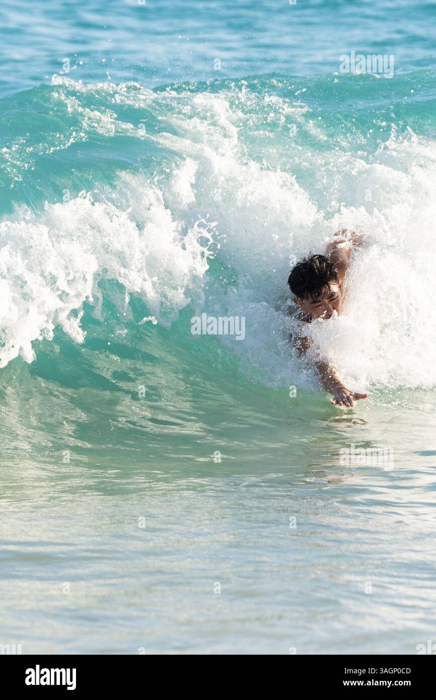 Body Surfer rides tropical wave at sunny beach, capturing summer fun ...