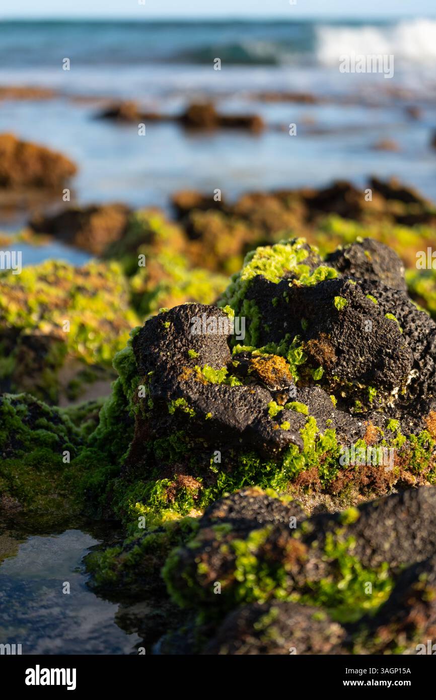 Tide influenced textures hi-res stock photography and images - Alamy