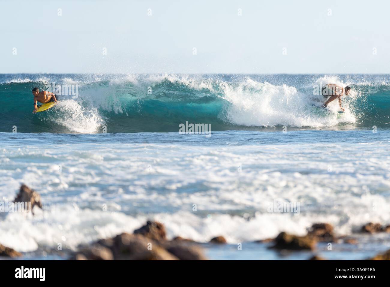 Bodyboarder rides tropical wave at sunny beach, capturing summer fun ...