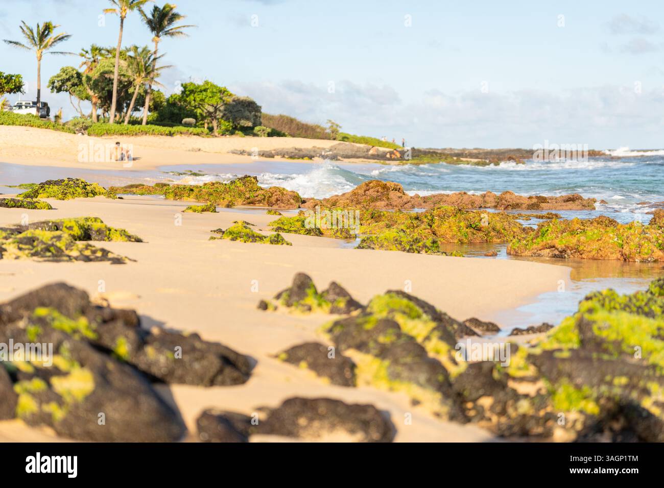 Tropical vacation tourist beaches, tropical wave at sunny beach ...