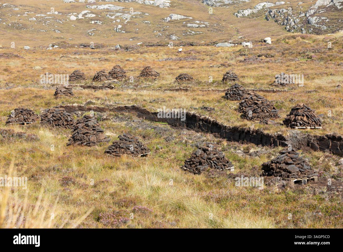 Peat stacks, Isle of Harris, Outer Hebrides, Scotland, UK, Europe Stock ...