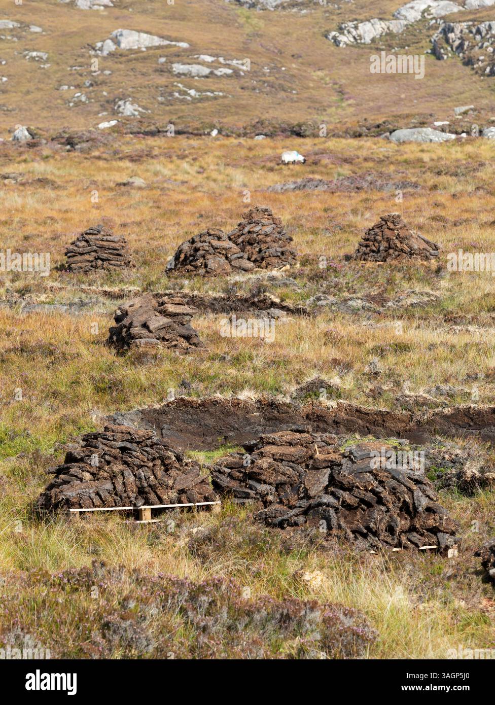 Peat stacks, Isle of Harris, Outer Hebrides, Scotland, UK, Europe Stock ...