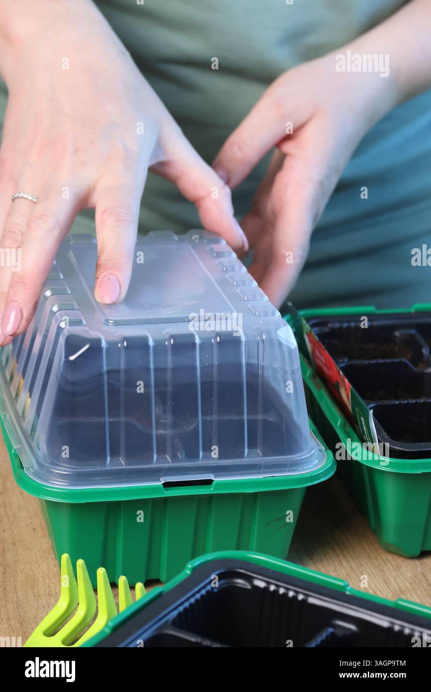 A woman is demonstrating plastic mini greenhouses for windowsills ...