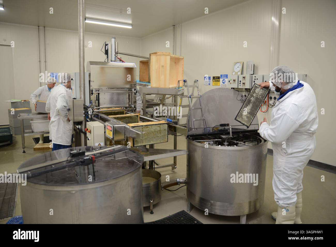 GREYMOUTH, NEW ZEALAND, DECEMBER 28, 2016: A worker checks production ...