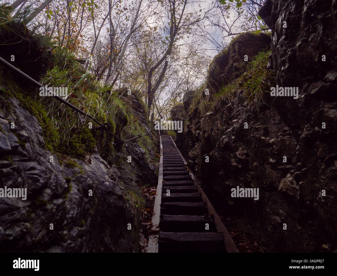 Rustic Ladder Ascending a Dramatic Forest Canyon Path, Soteska Pekel ...