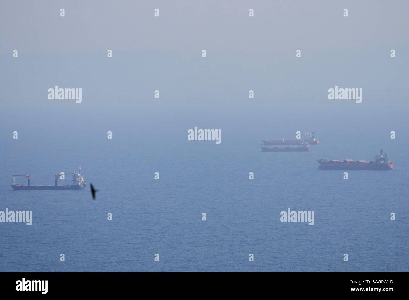 Merchant ships wait outside Haifa's port, Israel, Wednesday, April 9 ...