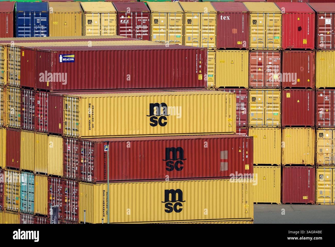Duisburg, Ruhrgebiet, Nordrhein-Westfalen, Deutschland - msc-Container ...