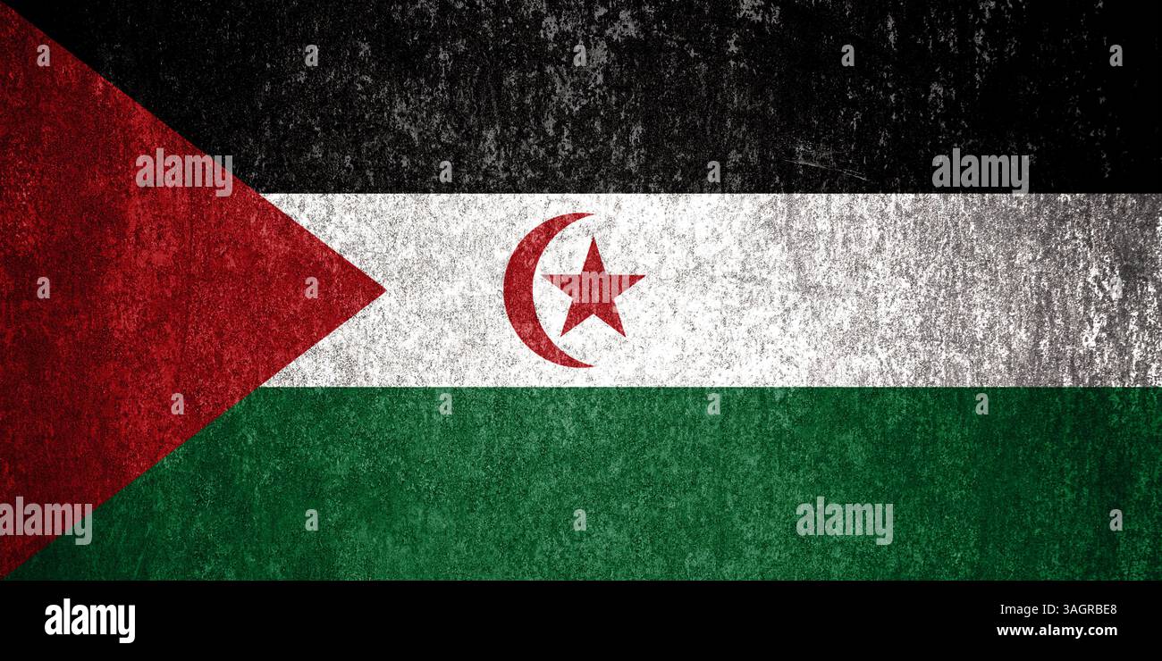 Sahrawi Arab Democratic Republic State Flag. Dirty Sahrawi Arab ...
