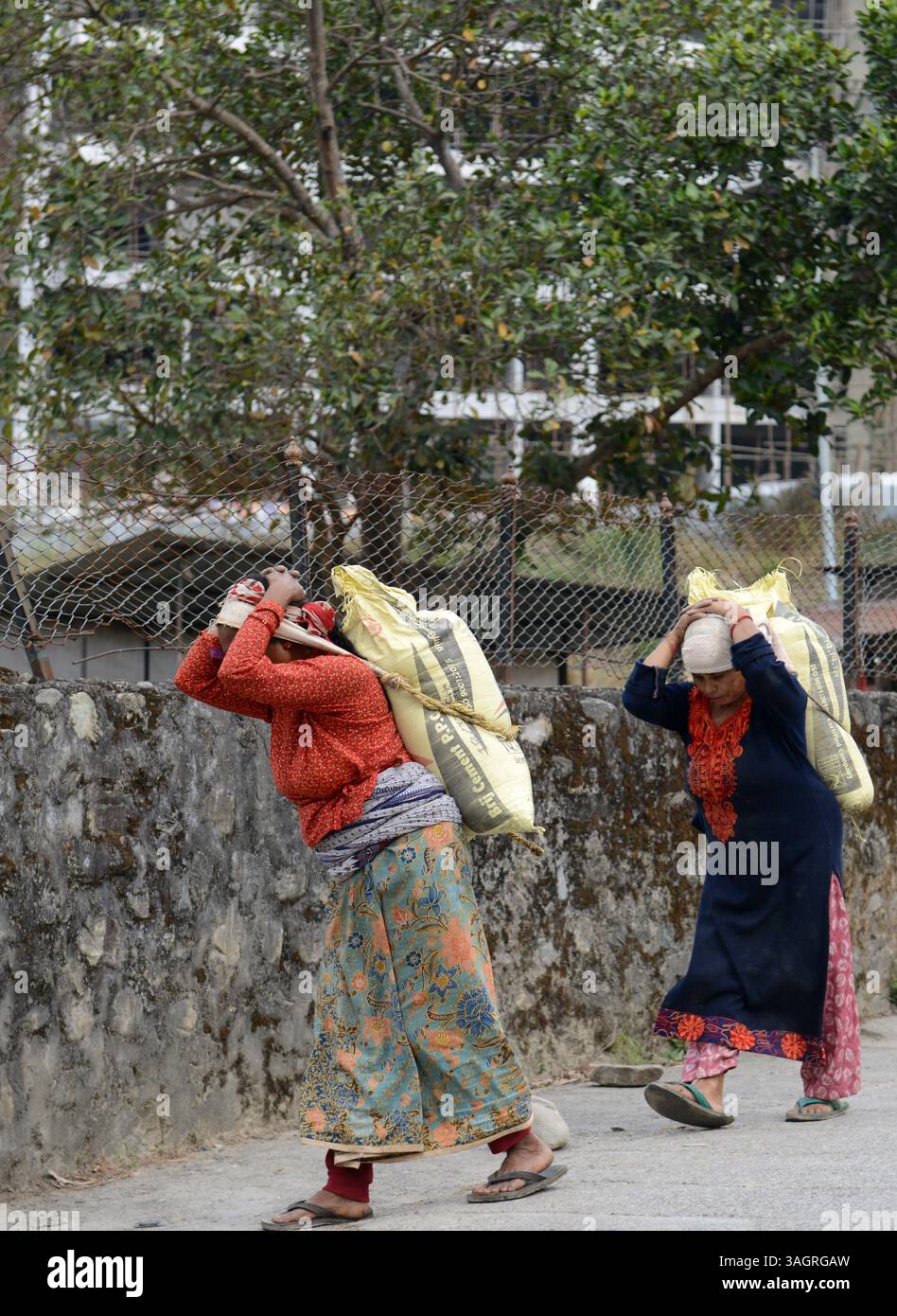 Nepali woman carrying load in hi-res stock photography and images - Alamy