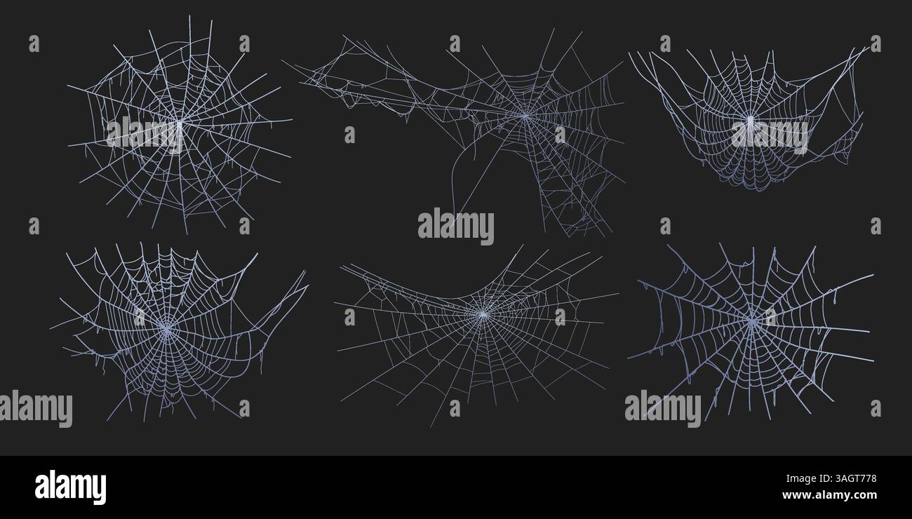 Spooky halloween old cobweb with various sizes and shapes. Old spider ...