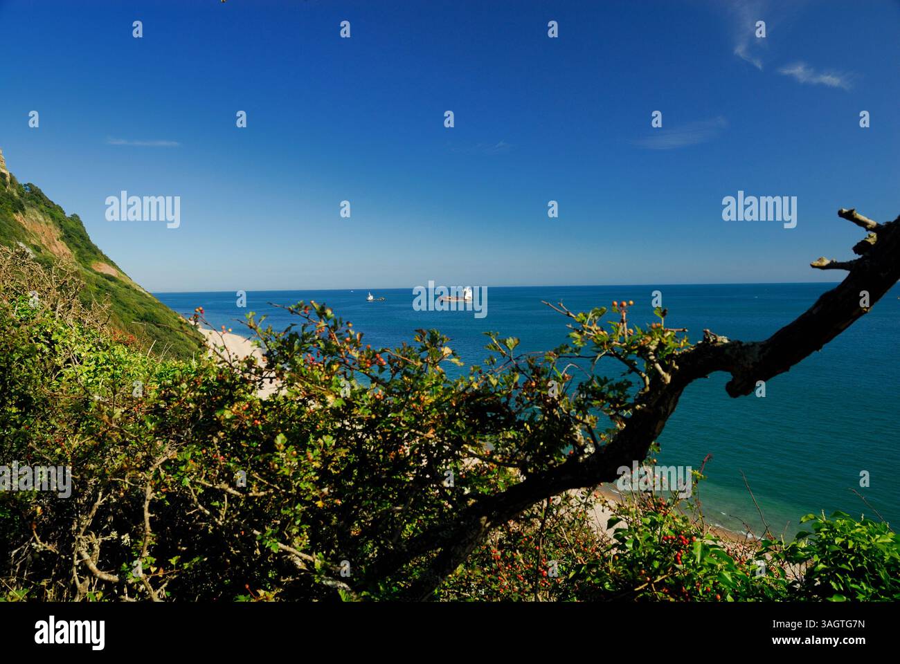 Weston cliff jurassic coast hi-res stock photography and images - Alamy