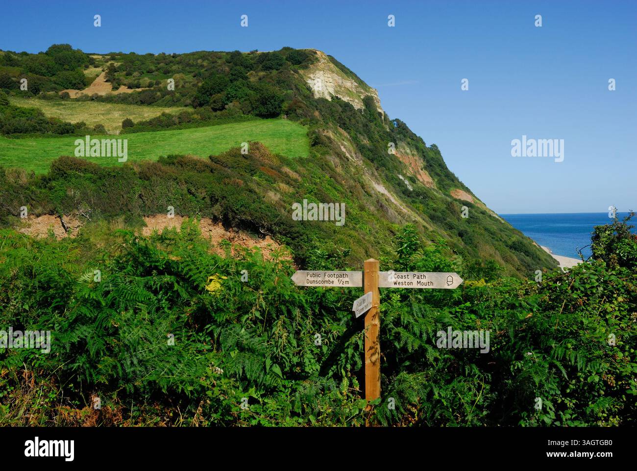 Signpost below Weston Cliff, East Devon Stock Photo - Alamy