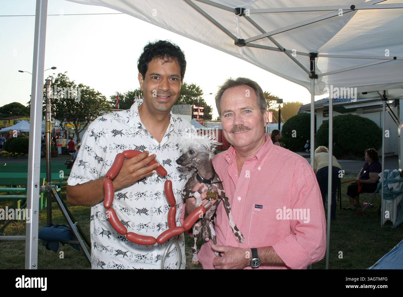 World's ugliest dog contest hi-res stock photography and images - Alamy