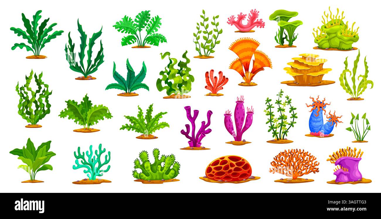 Anemone actinia on seabed underwater Stock Vector Images - Alamy