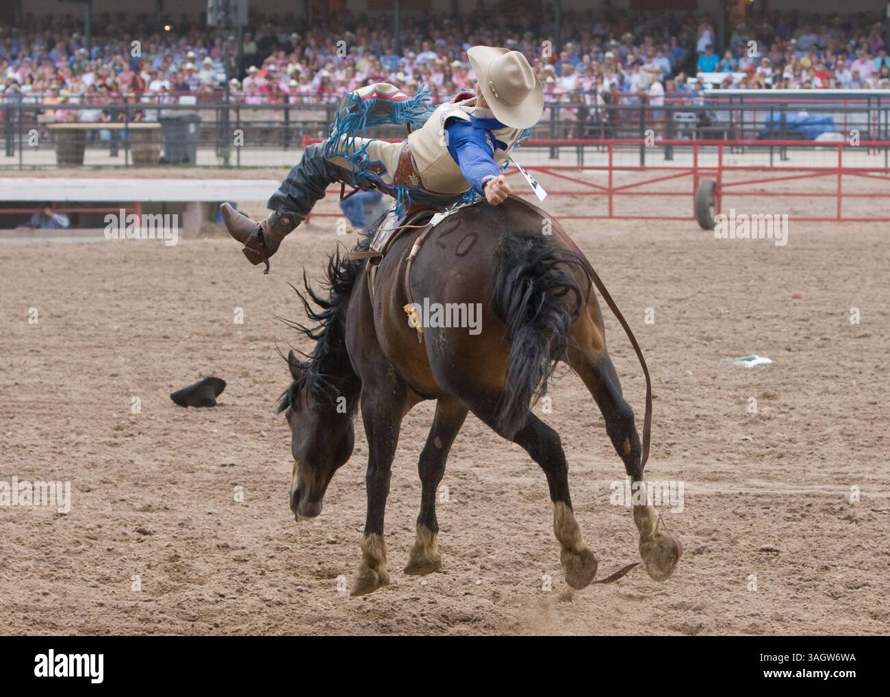 Jul 23, 2009 - Cheyenne, Wyoming, USA - Bareback Riding champion CLINT ...