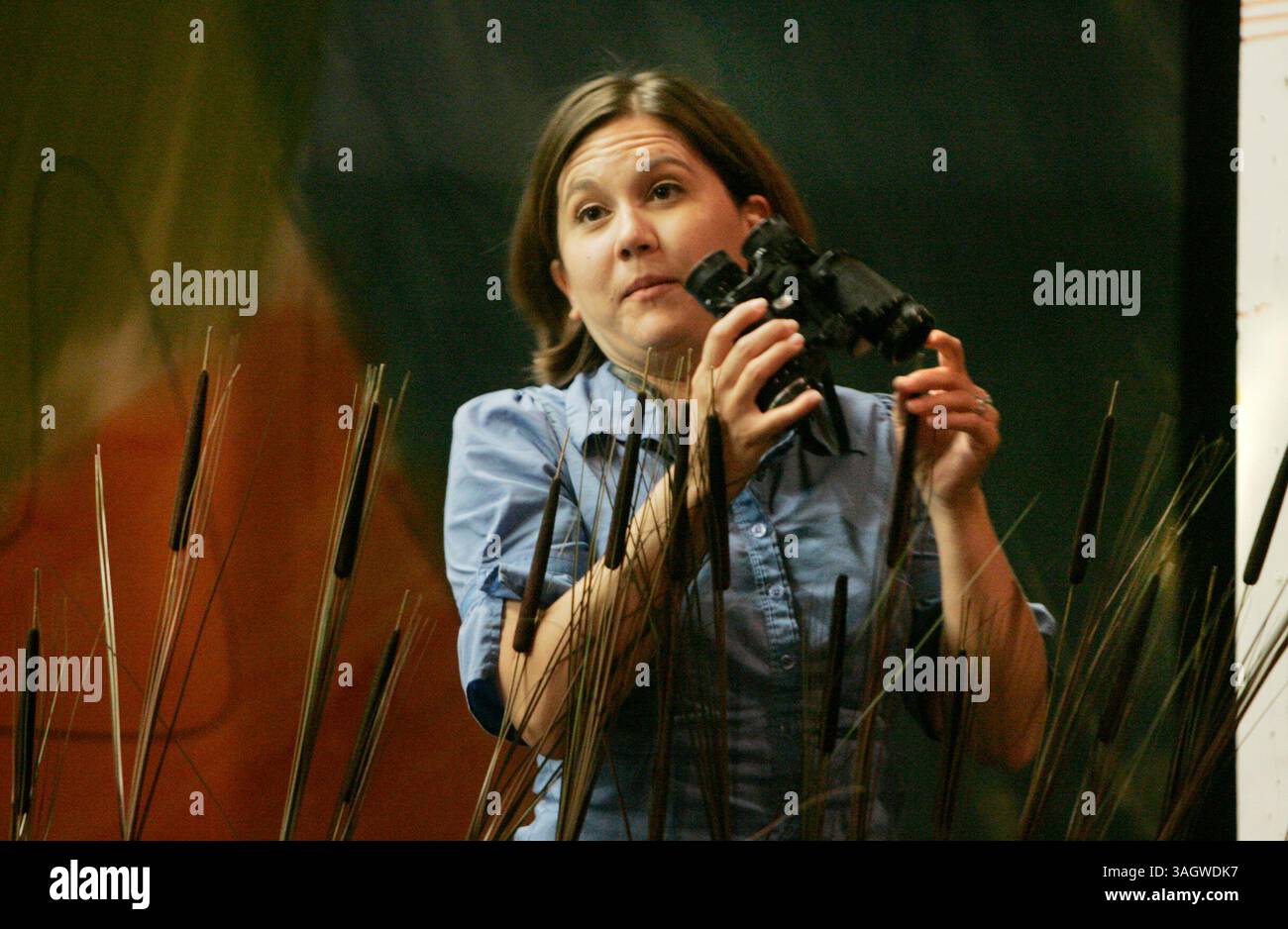 Joshua waddell hi-res stock photography and images - Alamy