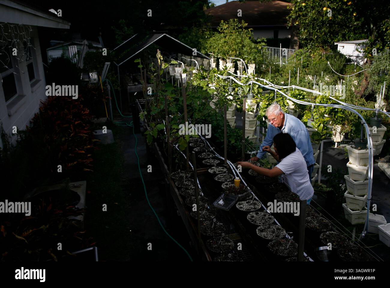 Satruday market hi-res stock photography and images - Alamy