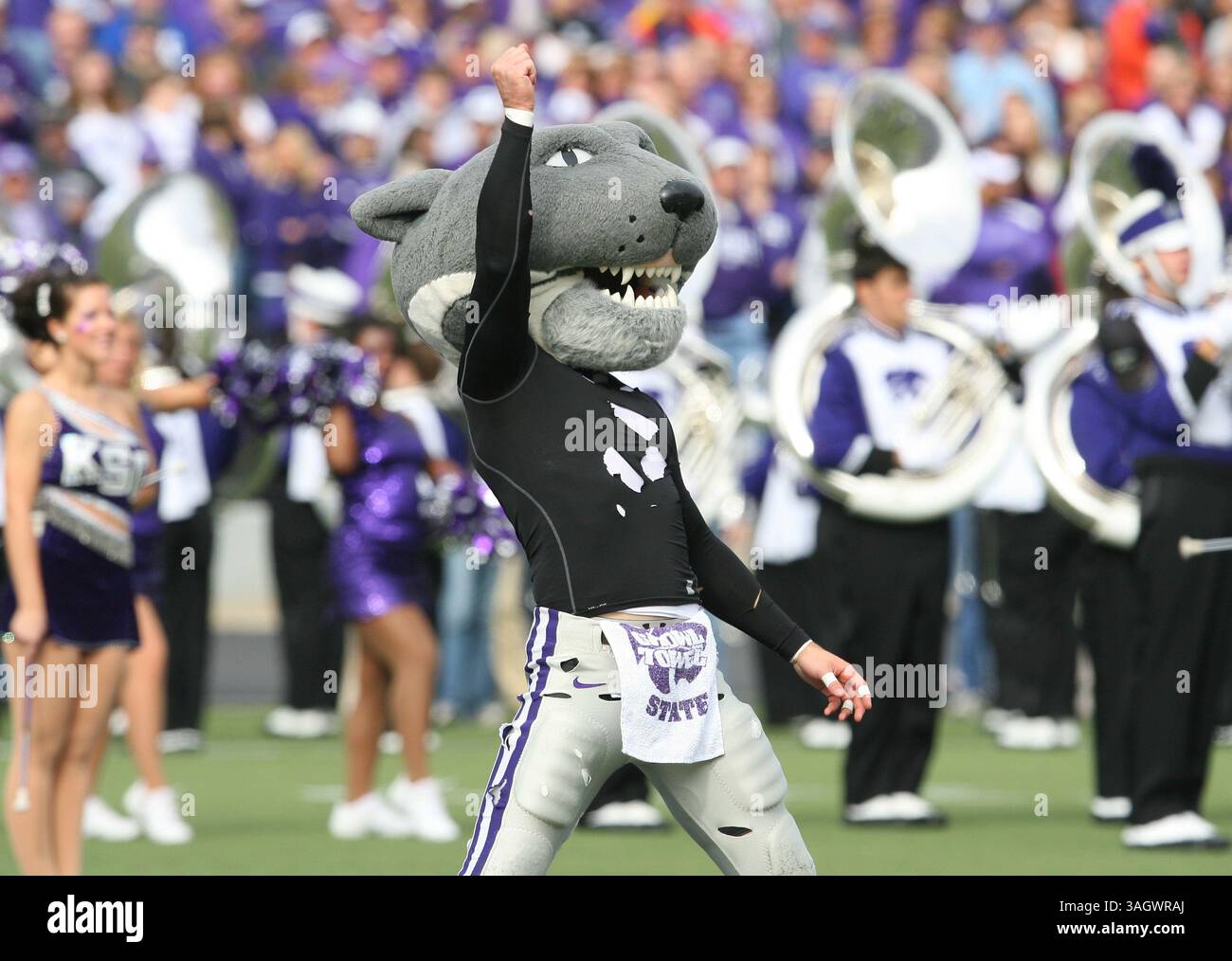 K state wildcat hi-res stock photography and images - Alamy