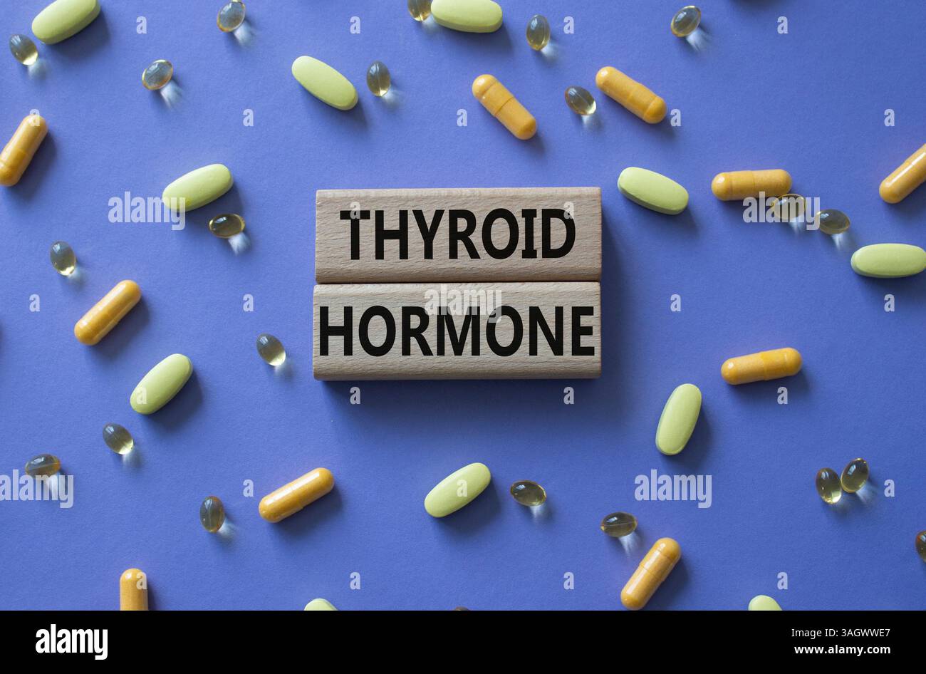 Thyroid Hormone symbol. Concept word Thyroid Hormone on wooden blocks ...
