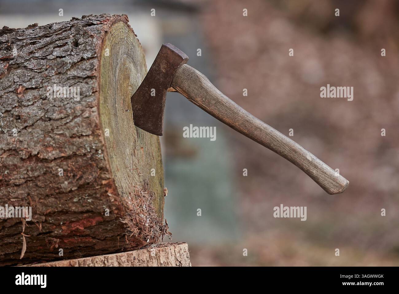 Axe in a log after throwing, logging Stock Photo - Alamy