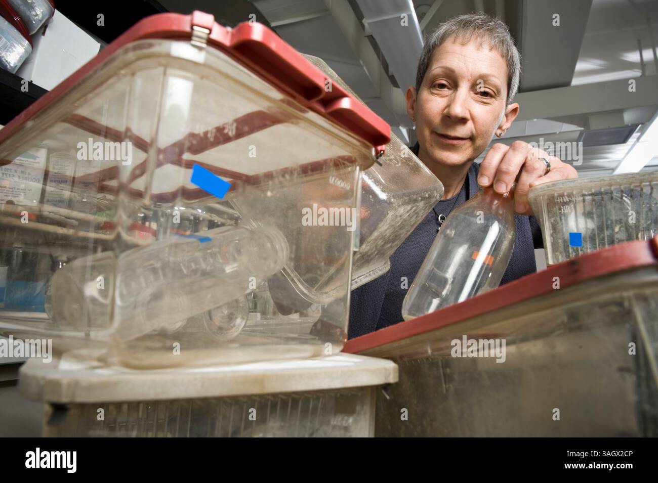 Mammalian germ cells hi-res stock photography and images - Alamy