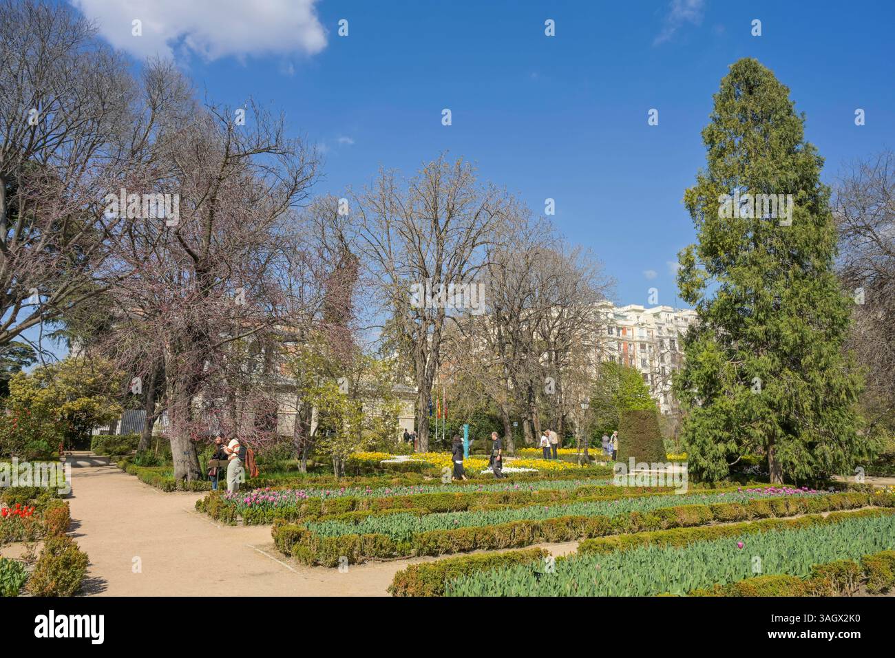 Botanischer Garten, Real Jardin Botanico de Madrid, Plaza Murillo ...