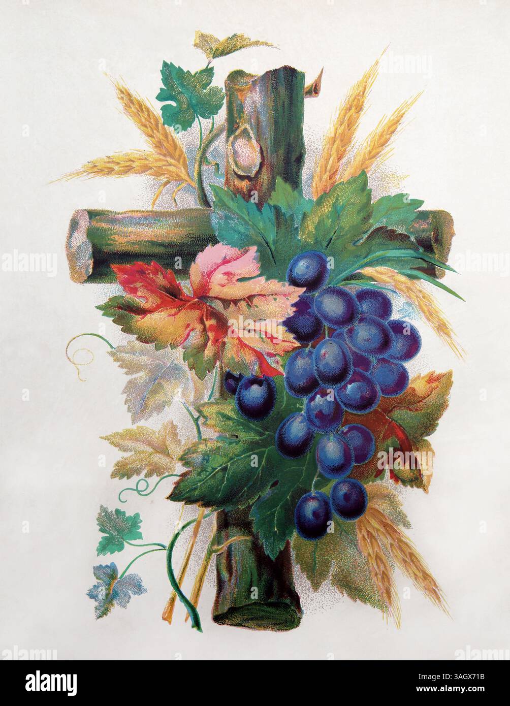Illustration of a Cross with Grapes and Leaves from the Antique Book ...